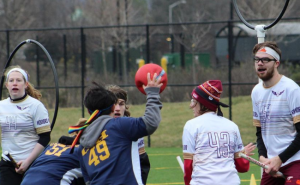 Catching the Golden Snitch: A Deep Dive into Quidditch - How To Play ...